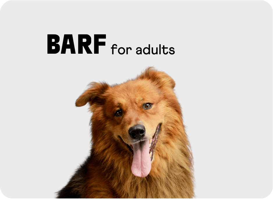 Our BARF Blends for Dogs – howlerpetfoods