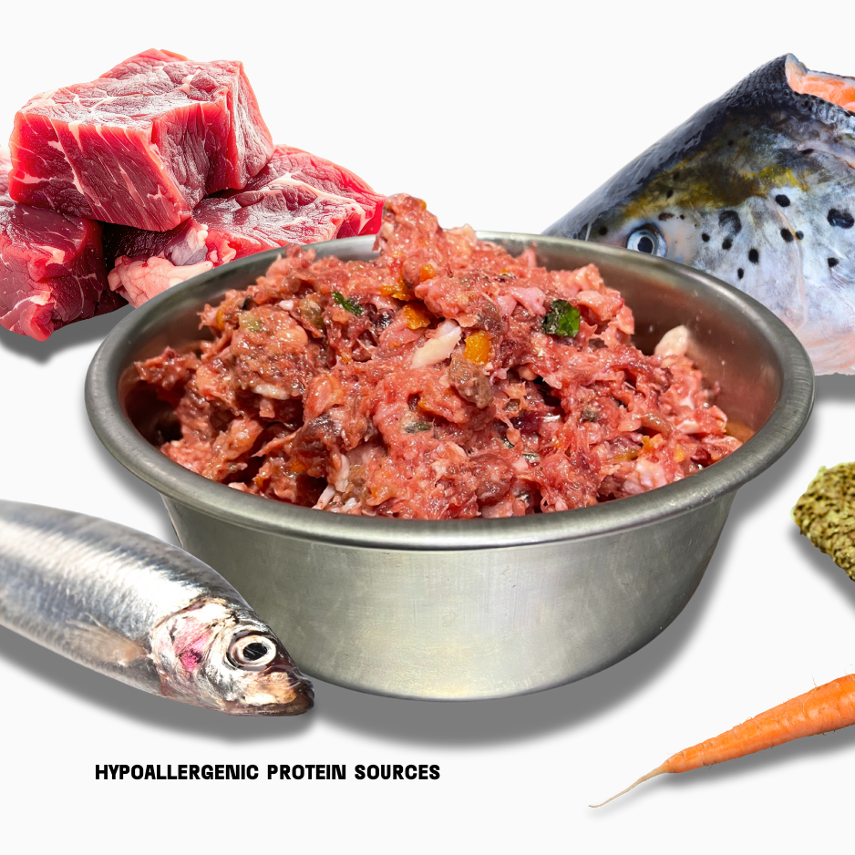 Complete fish BARF Meals for dogs - Balanced Raw Dog Food– Tagged ...